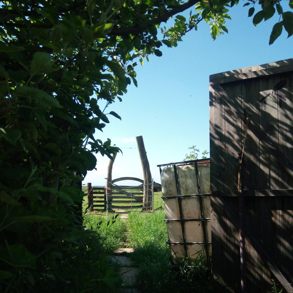 The Inkpot – a permaculture farm in Lincolnshire – Greater Lincolnshire ...