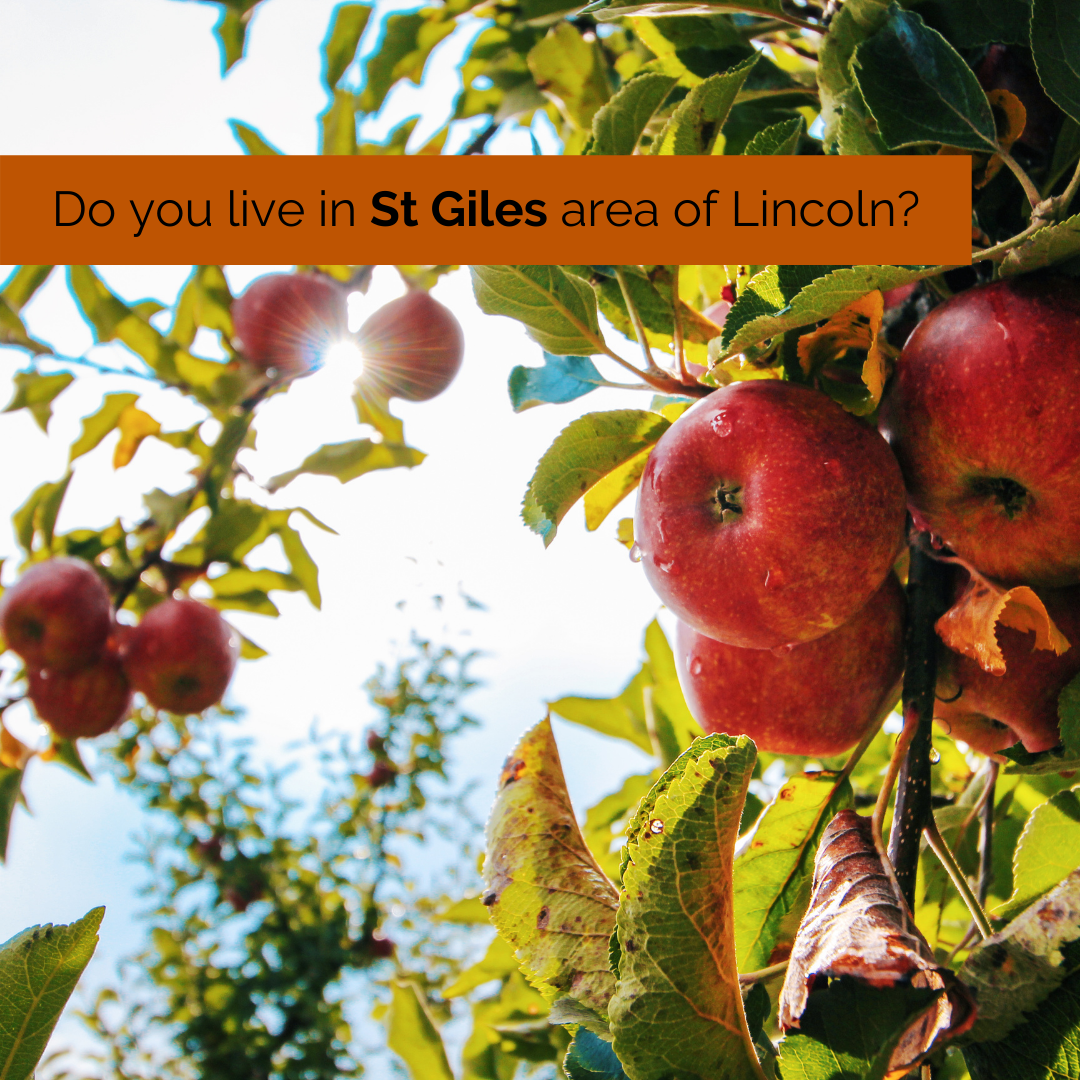 st-giles-area-of-lincoln_ – Greater Lincolnshire Food Partnership