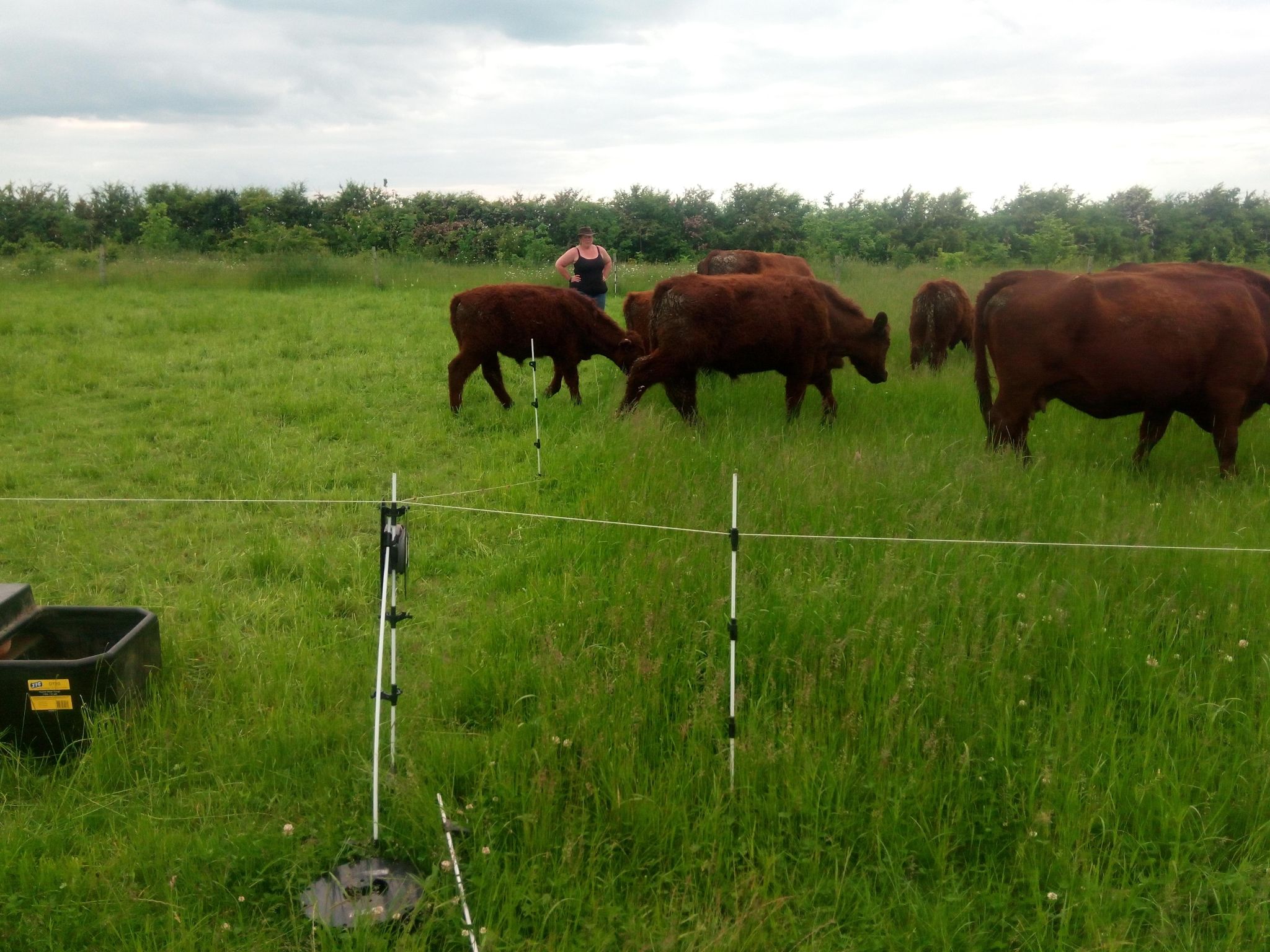 The Inkpot – a permaculture farm in Lincolnshire – Greater Lincolnshire ...