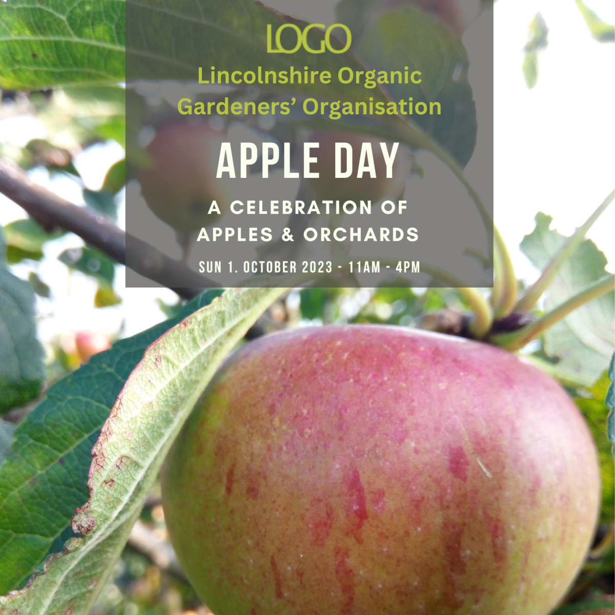 Celebrating Apples & Orchards – Greater Lincolnshire Food Partnership